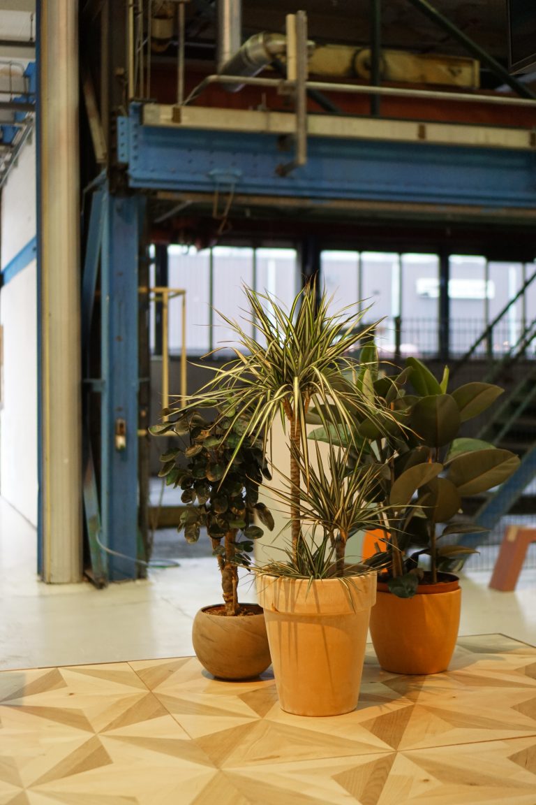 Duurzame woonbeurs: bomvol inspiratie en slimme ontwerpen! - Dirksdotter